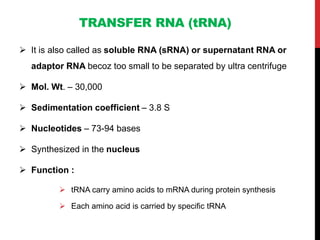 Structure and types of RNA .pptx
