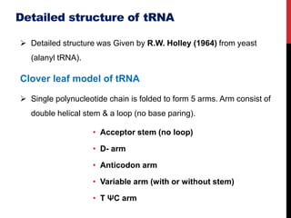 Structure and types of RNA .pptx