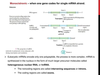 Structure and types of RNA .pptx