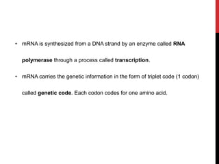 Structure and types of RNA .pptx