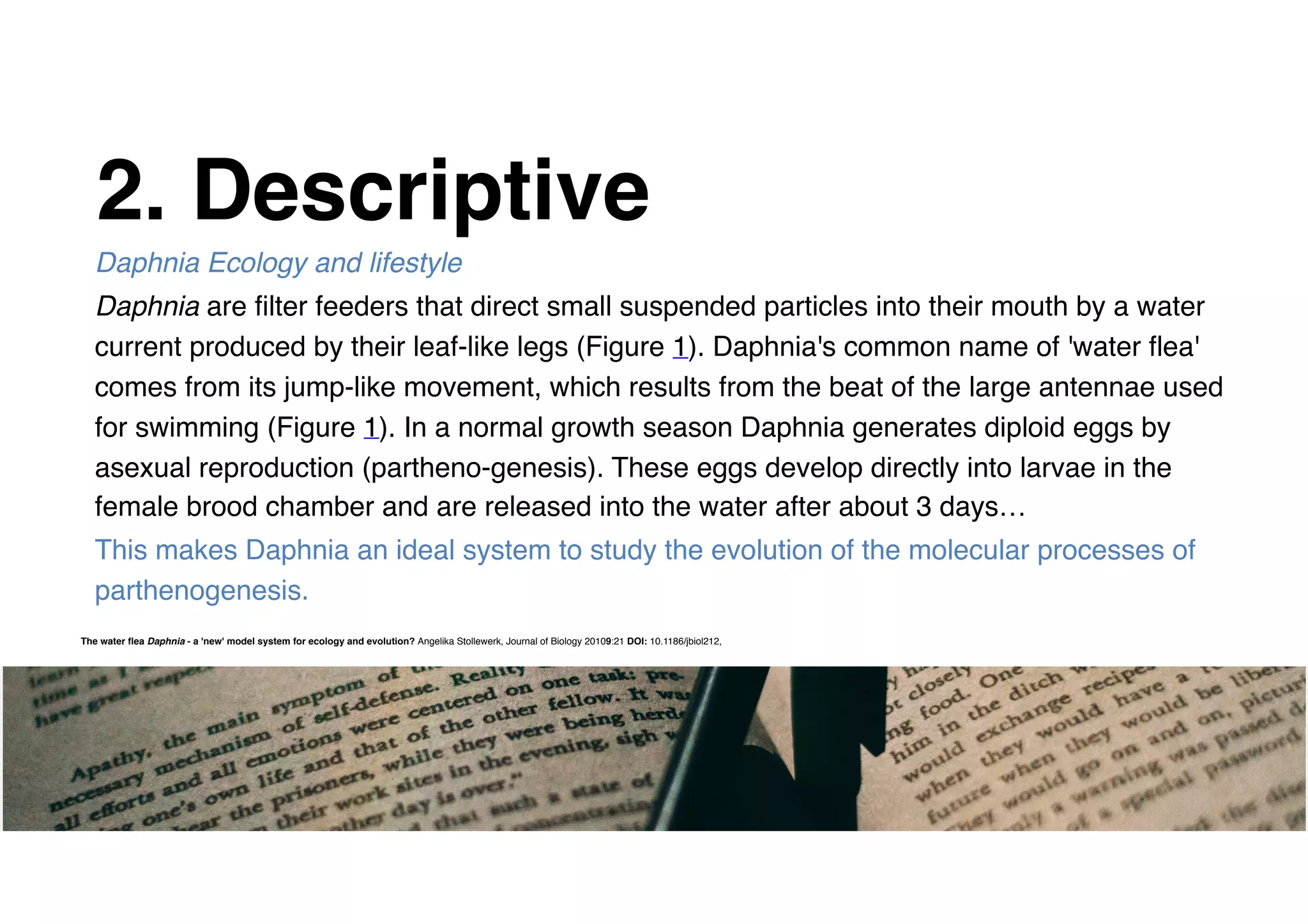 Structure strong paragraphs in academic writing | PPT