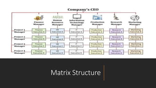 Structuring and Designing Organizations.pptx