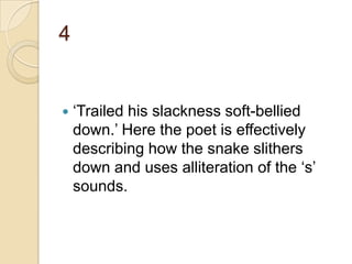 Structuring paragraphs properly | PPTX