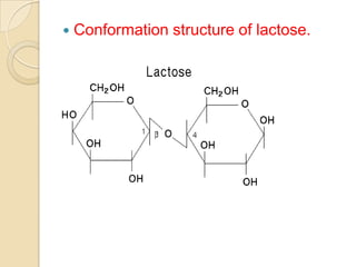 Structure Of Lactose