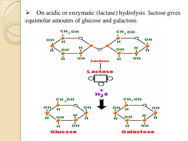 Strucural elucidaion lactose