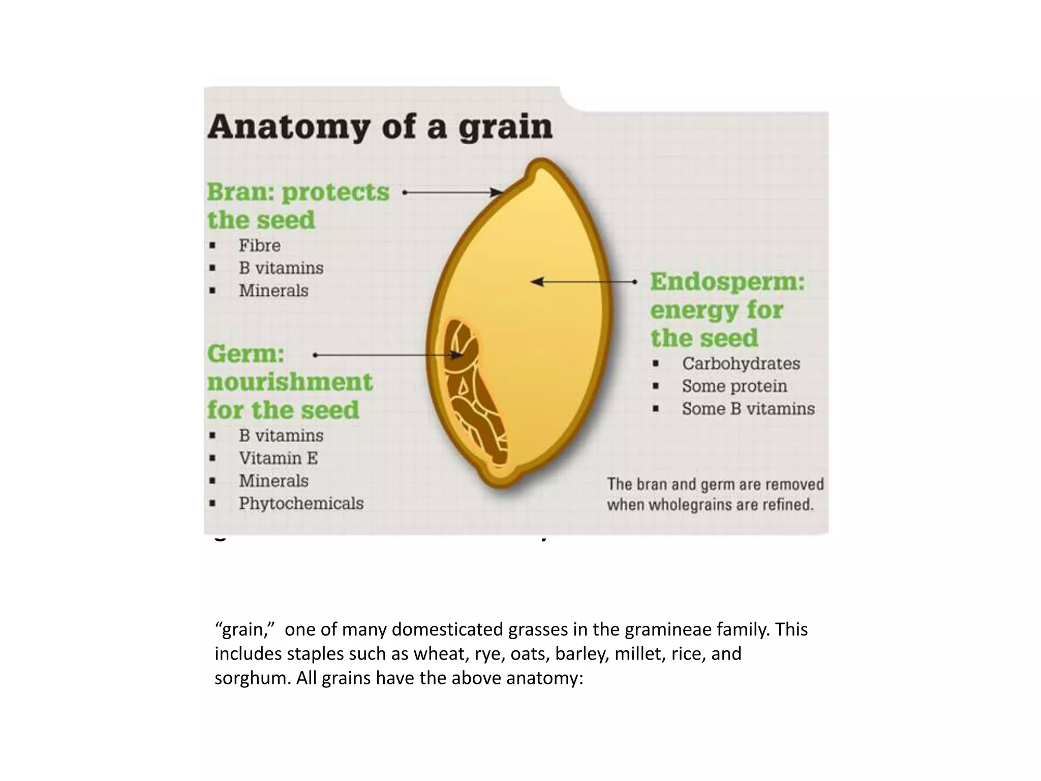 Strucuture of cereal grains and legumes | PPTX