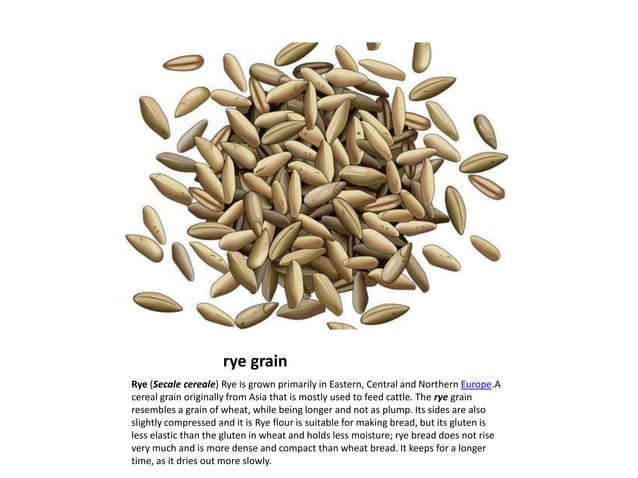 Strucuture of cereal grains and legumes | PPTX