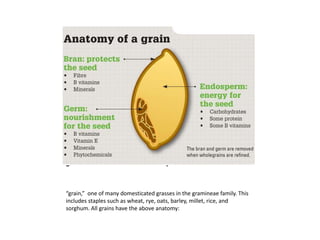 Strucuture of cereal grains and legumes | PPTX