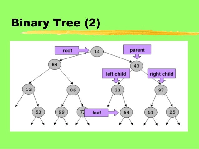 Struktur Data Tree
