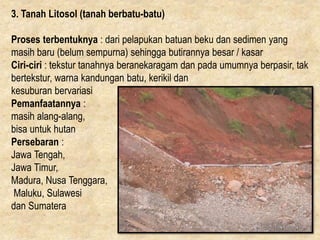 Tanah Litosol