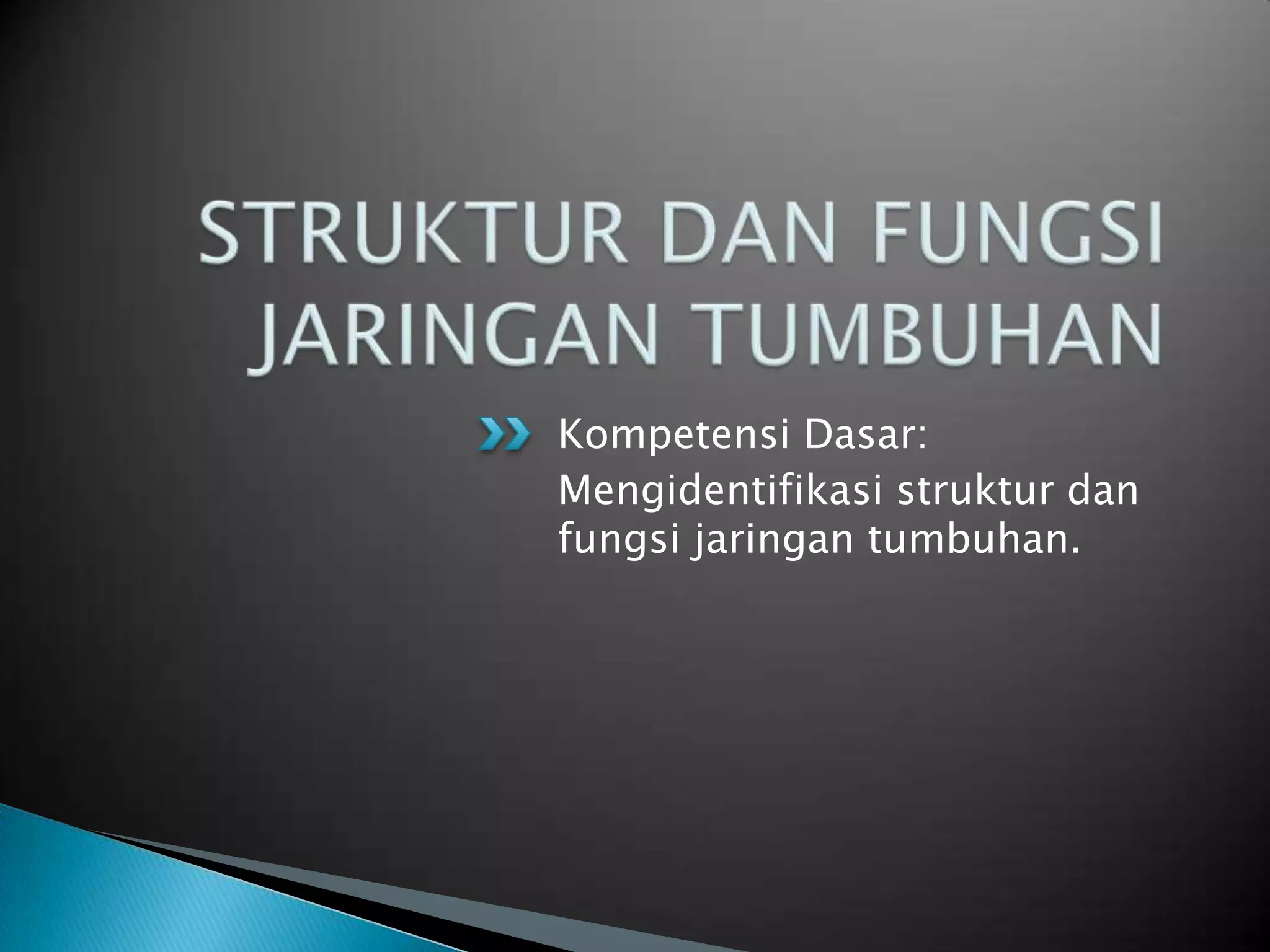 Struktur dan fungsi jaringan tumbuhan pada akar dan batang | PPTX