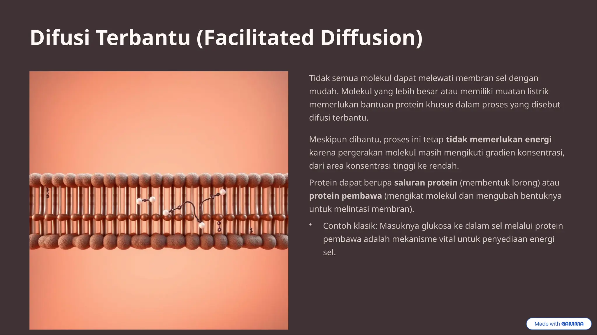 tolong buatkan saya PPT mengenai Struktur & Fungsi Membran Sel ...