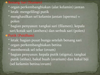 struktur-dan-fungsi-jaringan-tumbuhan (1).pptx