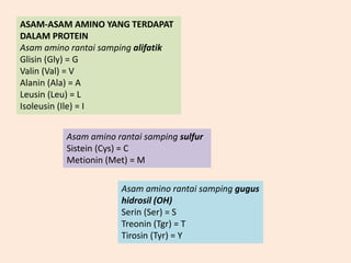 struktur-fungsi-protein.ppt