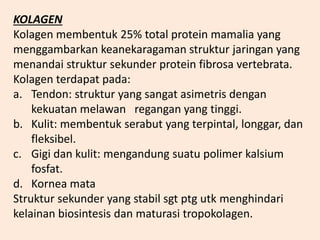 struktur-fungsi-protein.ppt