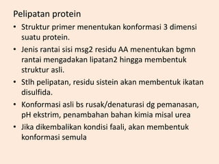 struktur-fungsi-protein.ppt