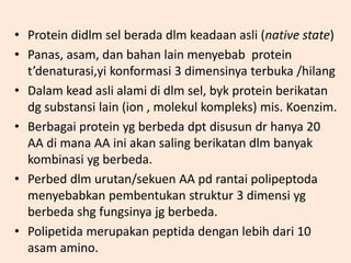 struktur-fungsi-protein.ppt