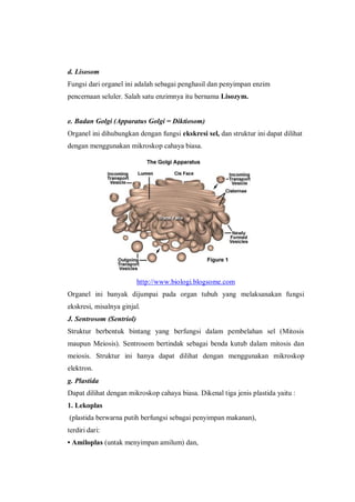 Struktur sel | PDF