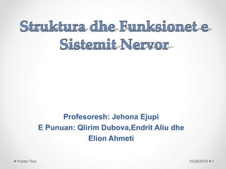 Struktura dhe Funksionet e Sistemit Nervor | PPTX