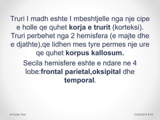 Struktura dhe Funksionet e Sistemit Nervor | PPTX