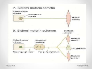 Struktura dhe Funksionet e Sistemit Nervor | PPTX