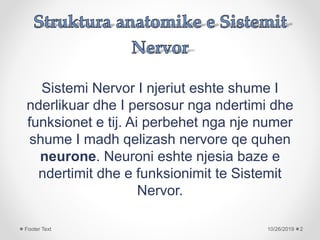 Struktura dhe Funksionet e Sistemit Nervor | PPTX