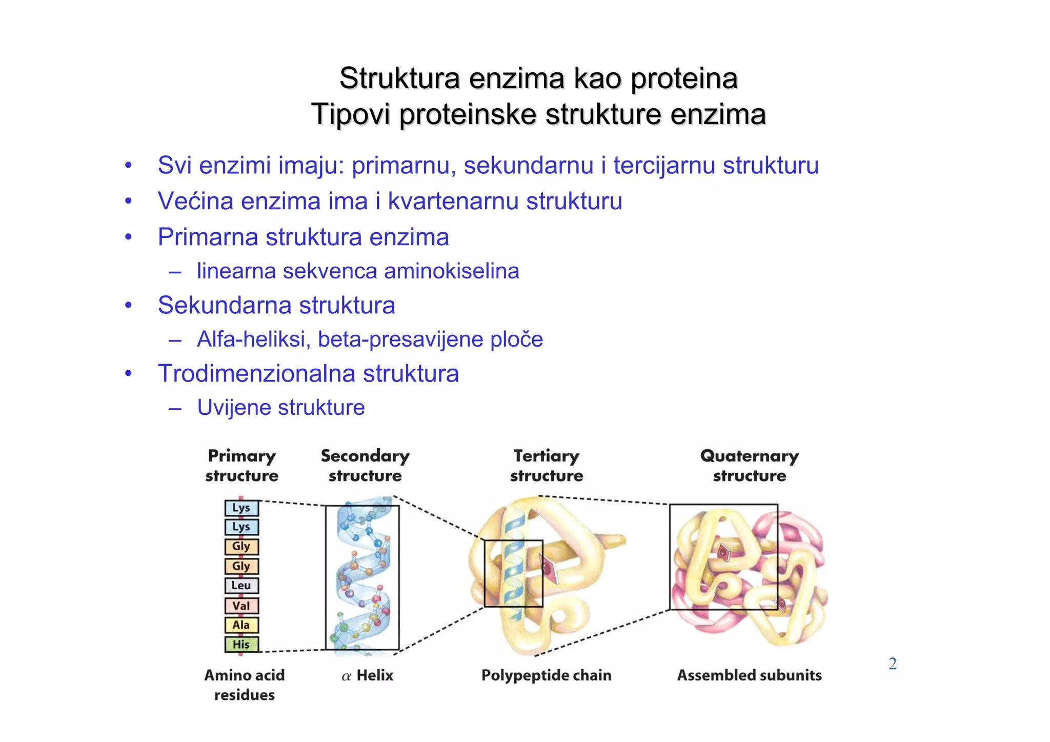 Struktura enzima i_aktivni_centarx | PDF