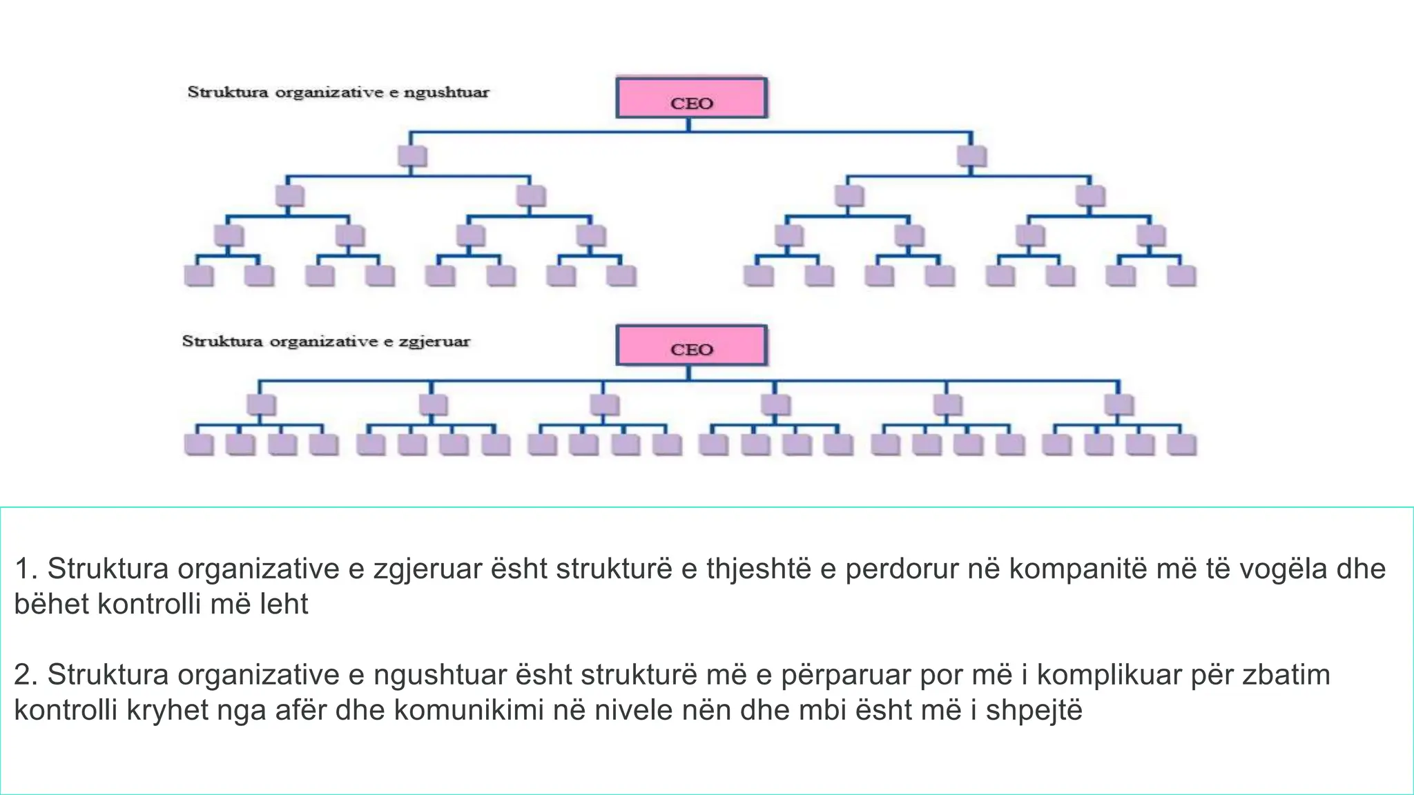 Struktura organizative rast studimi aplikimi i tyre | PPTX