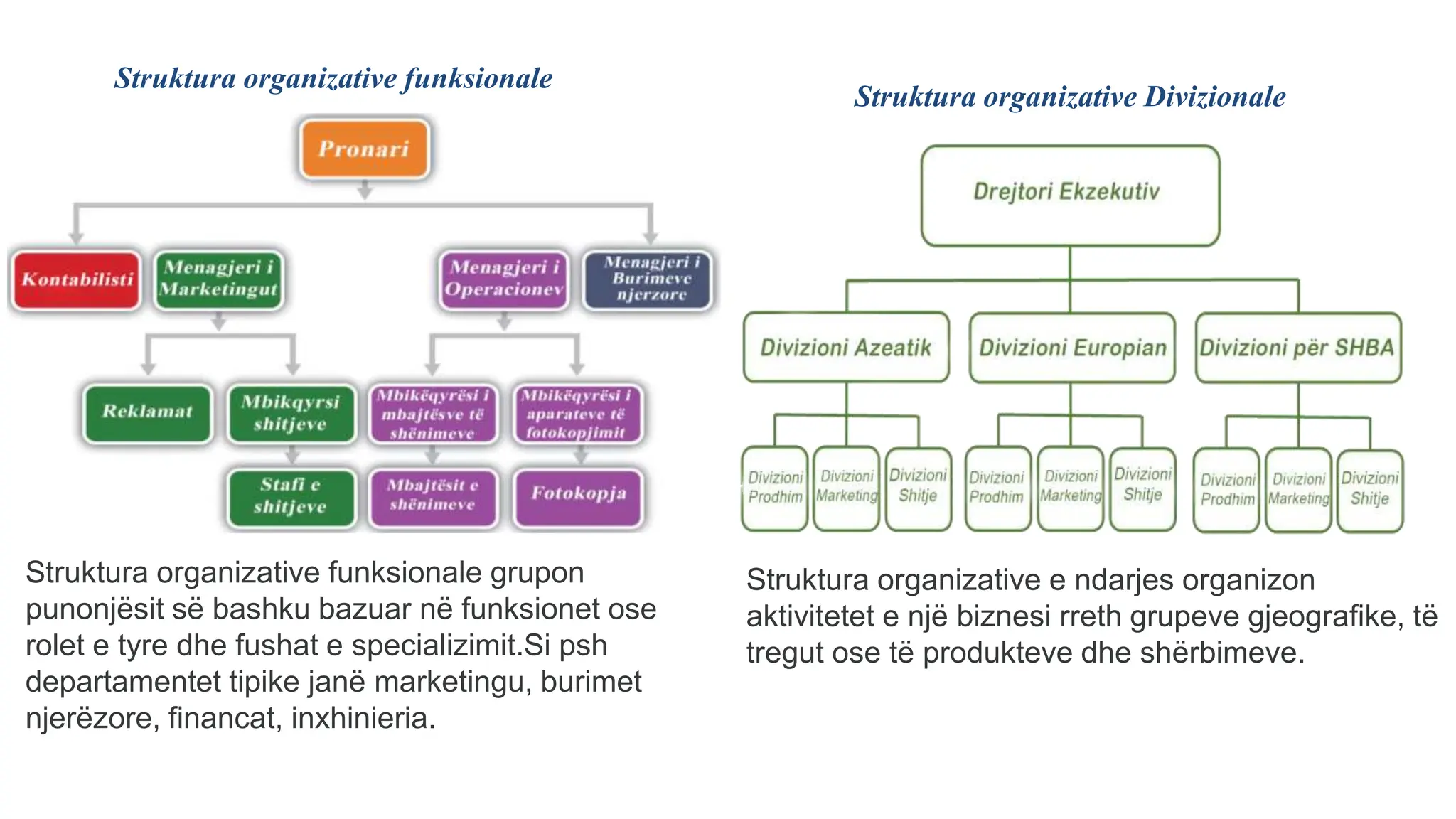 Struktura organizative rast studimi aplikimi i tyre | PPTX