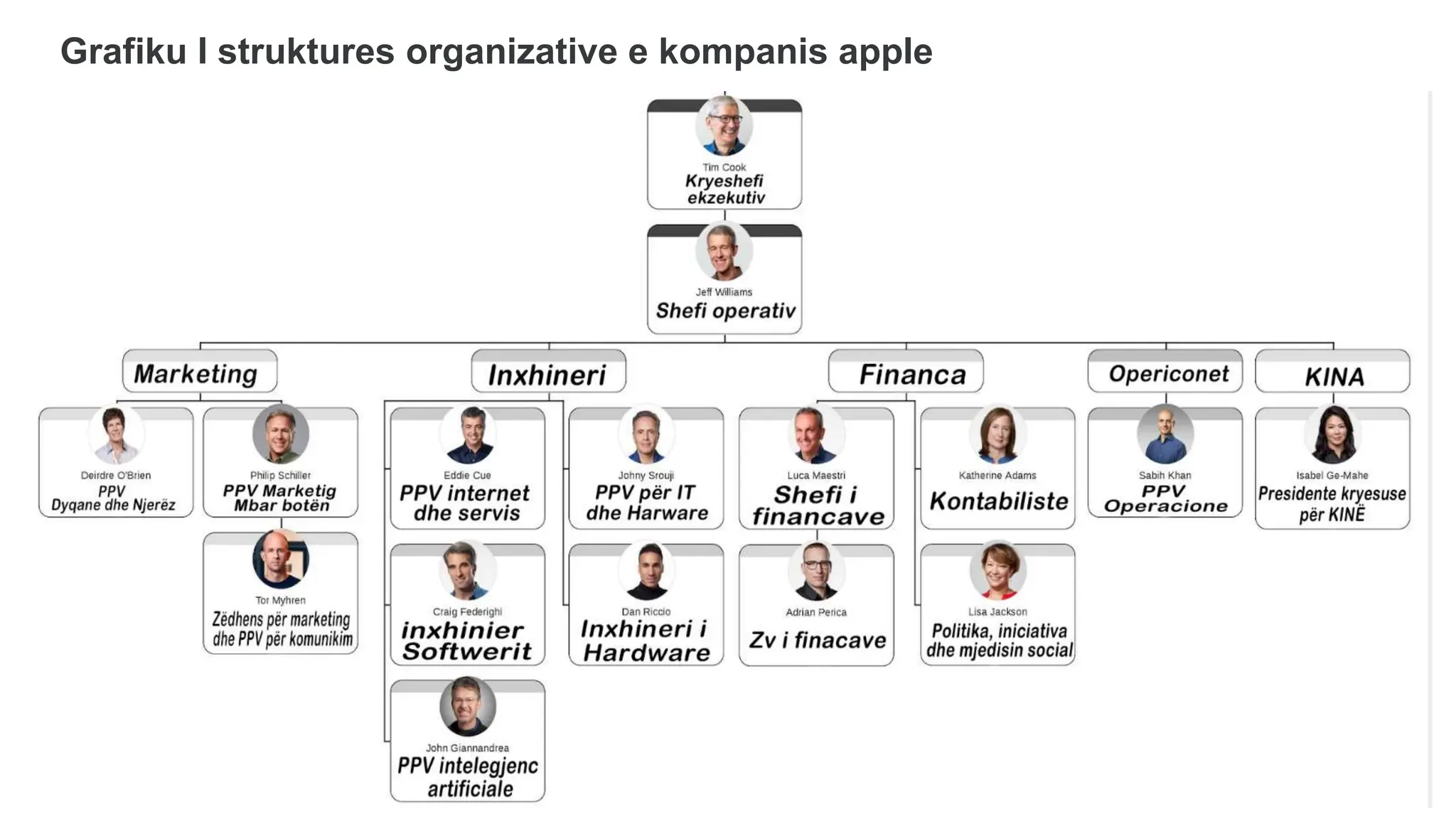 Struktura organizative rast studimi aplikimi i tyre | PPTX
