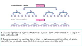 Struktura organizative rast studimi aplikimi i tyre | PPTX