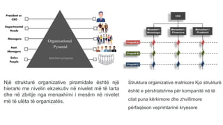 Struktura organizative rast studimi aplikimi i tyre | PPTX