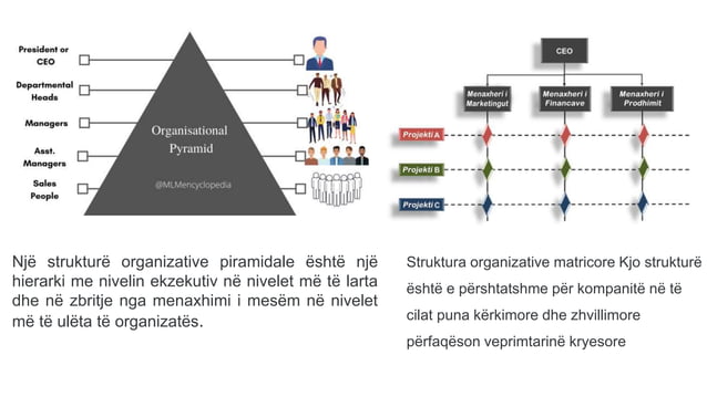 Struktura organizative rast studimi aplikimi i tyre | PPTX