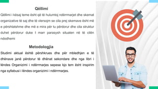 Struktura organizative rast studimi aplikimi i tyre | PPTX