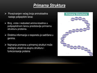 Struktura proteina | PPTX
