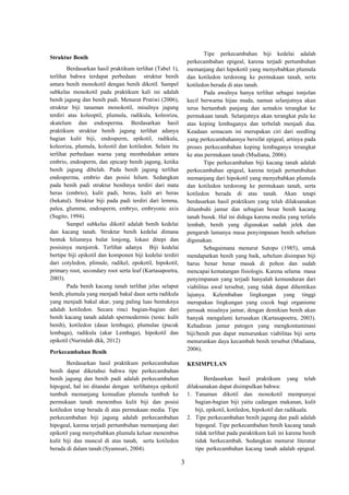 Struktur Benih dan Tipe Perkecambahan unzila (131) | PDF