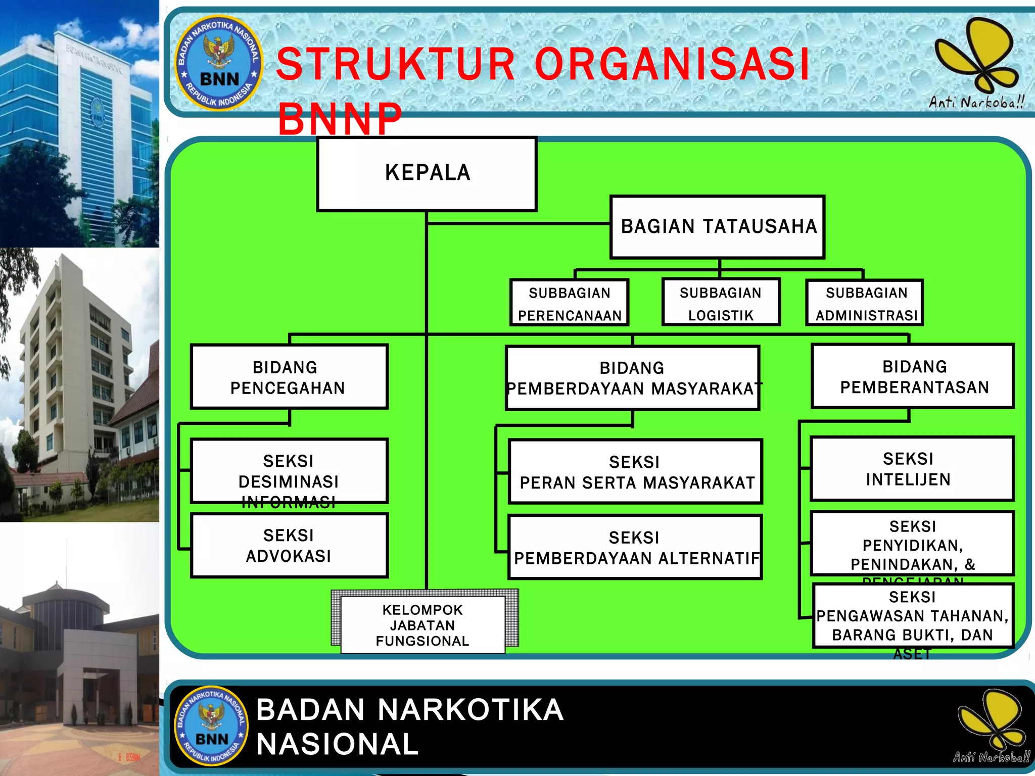 Struktur bnn | PPT