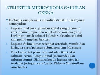 Struktur dan Anatomi Sistem Pencernaan.pptx