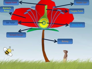 Struktur dan bagian penting dari tumbuhan IPA SD | PPT