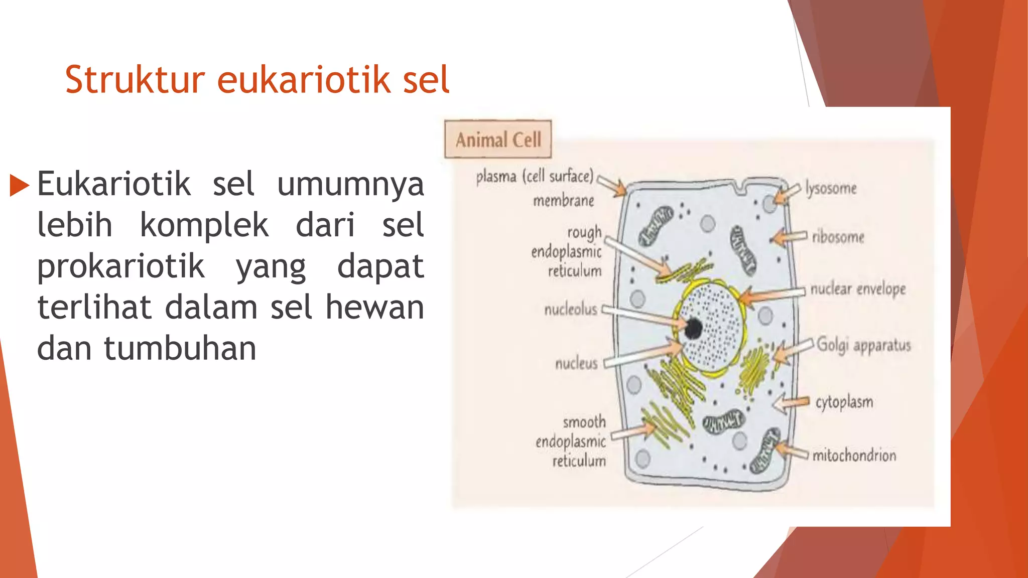 Struktur dan bagian sel | PPTX