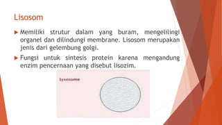 Struktur dan bagian sel | PPTX