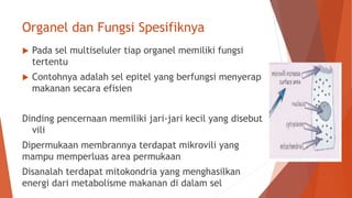 Struktur dan bagian sel | PPTX