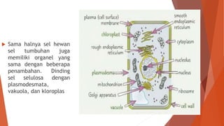 Struktur dan bagian sel | PPTX