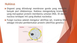 Struktur dan bagian sel | PPTX