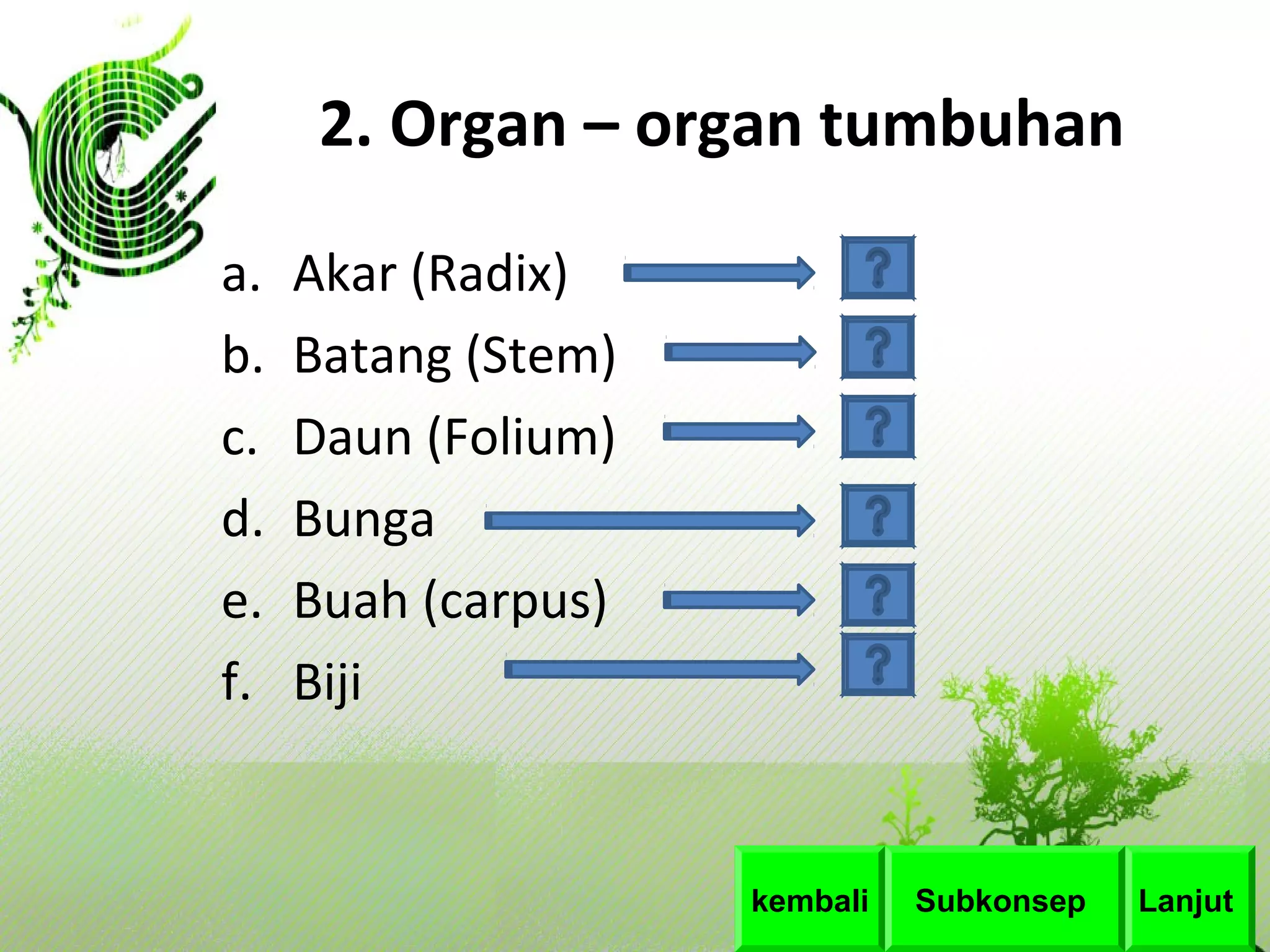 Struktur dan fugsi tumbuhan | PPT