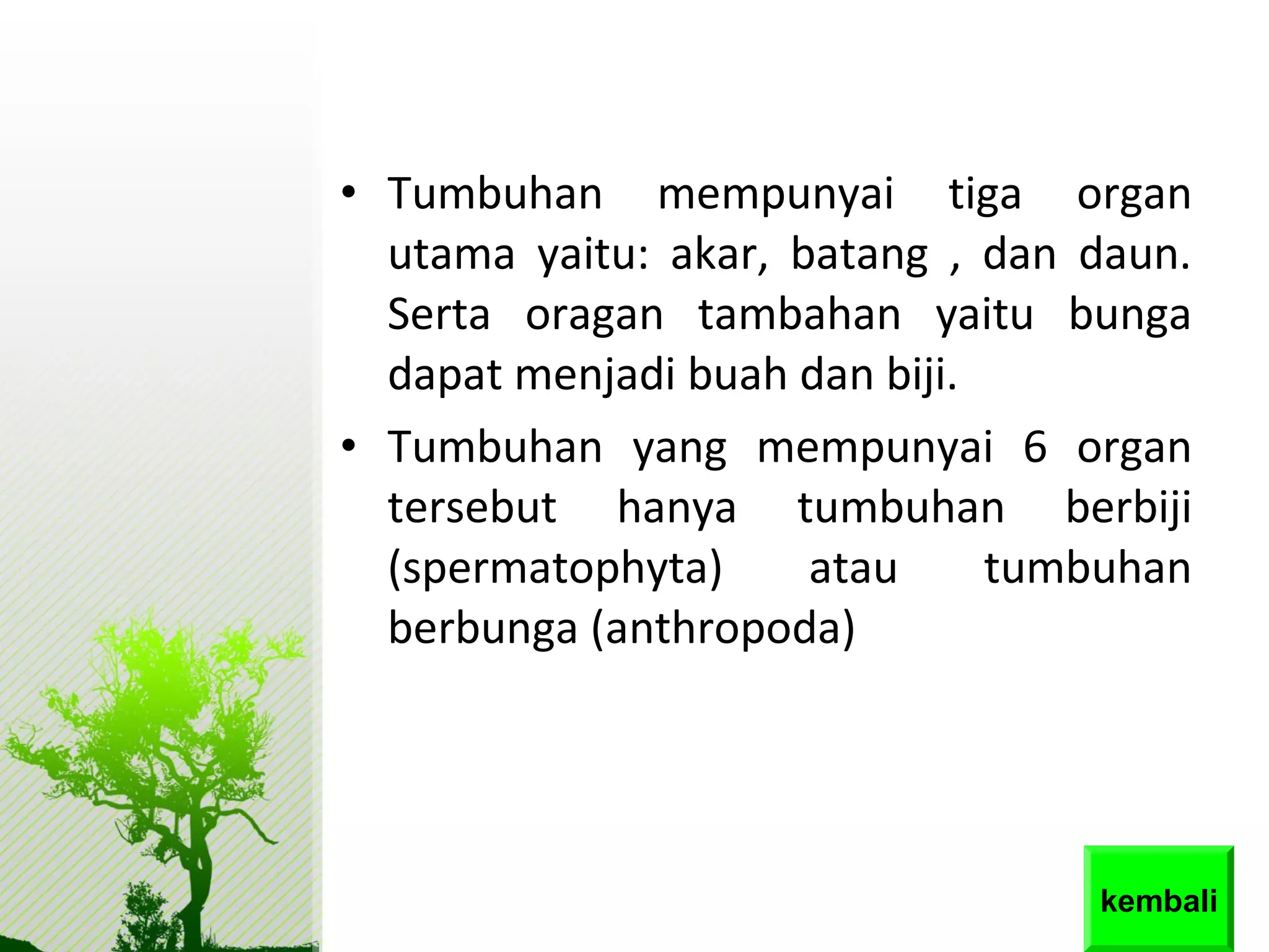 Struktur dan fugsi tumbuhan | PPT