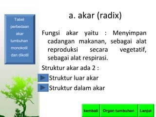 Struktur dan fugsi tumbuhan | PPT