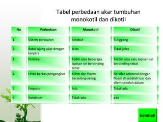 Struktur dan fugsi tumbuhan | PPT