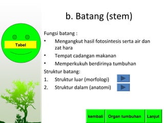 Struktur dan fugsi tumbuhan | PPT