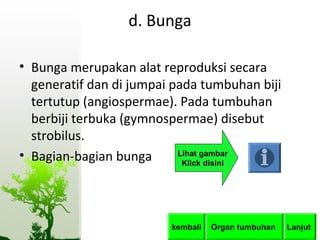 Struktur dan fugsi tumbuhan | PPT